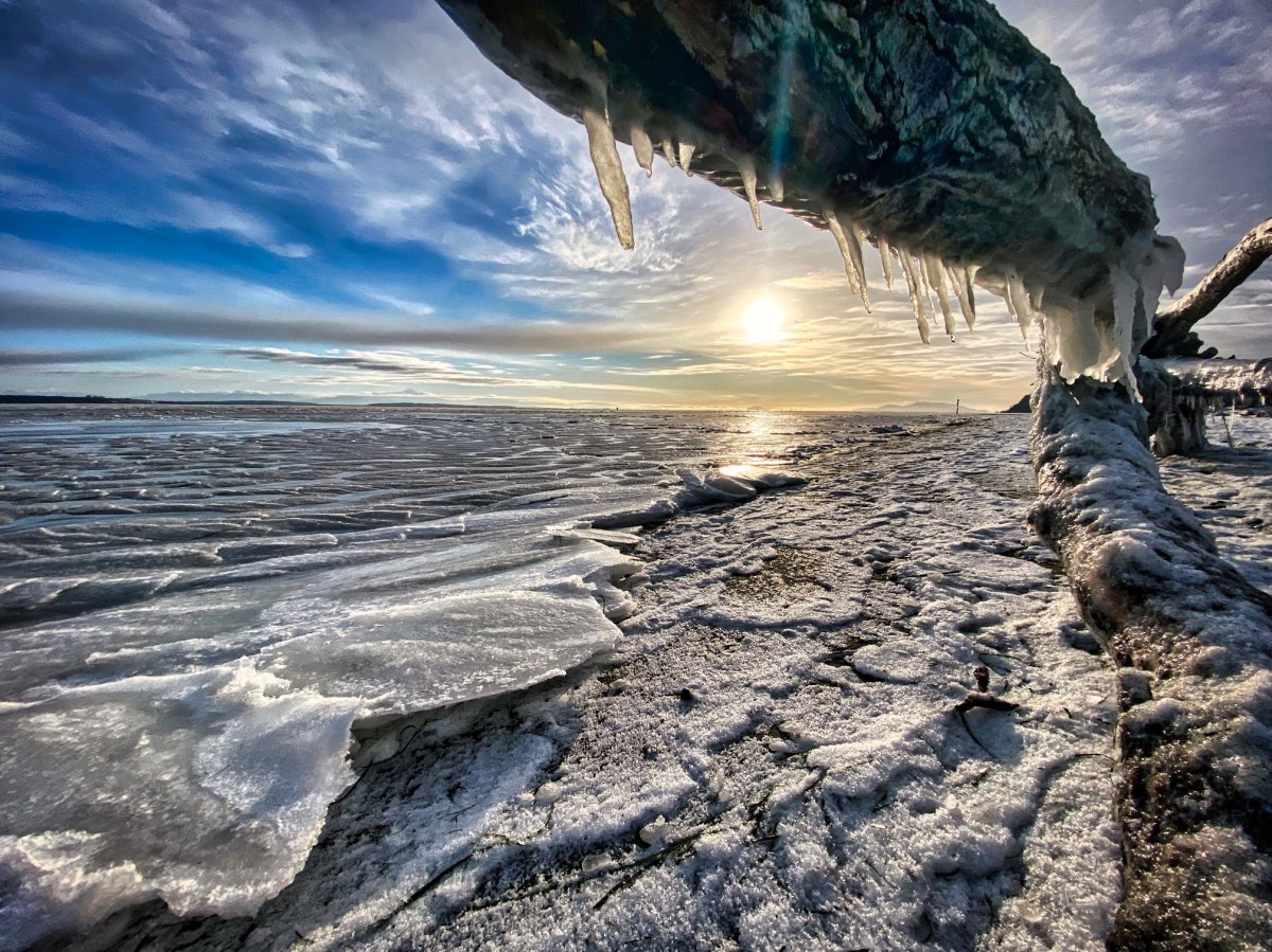 Photos: Snowfall transforms Lower Mainland into a winter wonderland ...