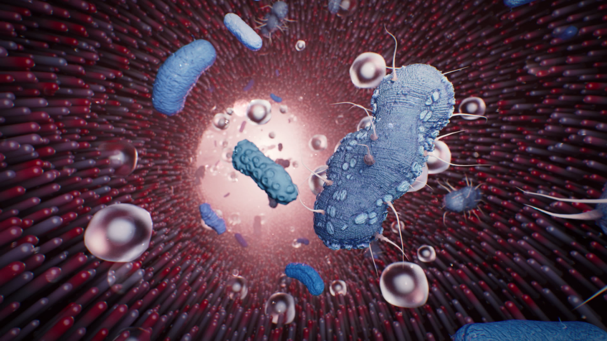 Has COVID-19 made the superbug crisis worse? - National | Globalnews.ca