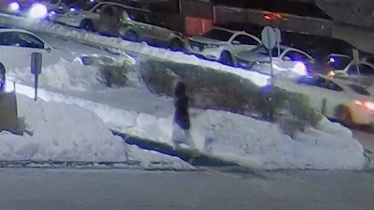 Candlelight vigil held for Etobicoke, Ont. man killed in Markham police ...