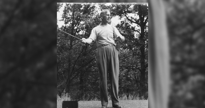 5 local legends shine amid Hamilton Sports Hall of Fame inductions ...