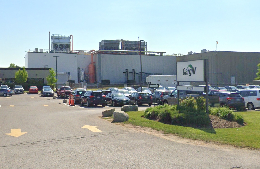 Strike averted at London, Ont. Cargill plant as workers ratify new 4 ...