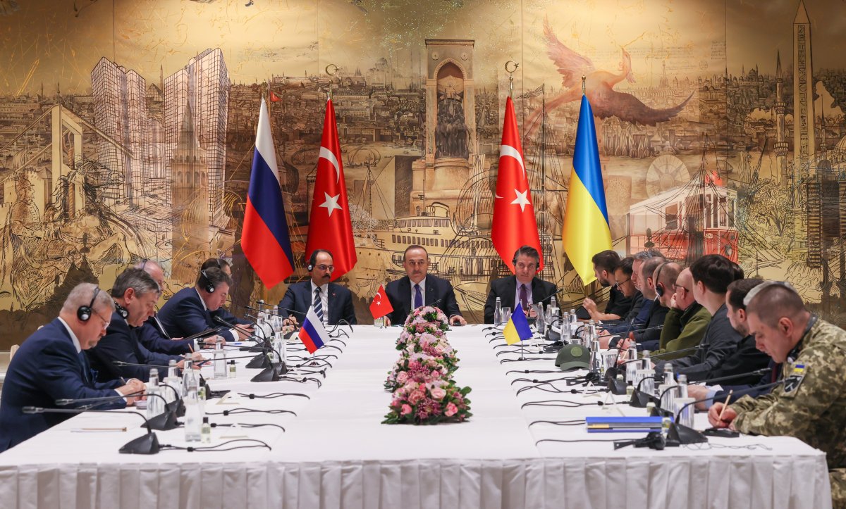 Ukraine floats Canada as security guarantor at peace talks. Here’s what ...