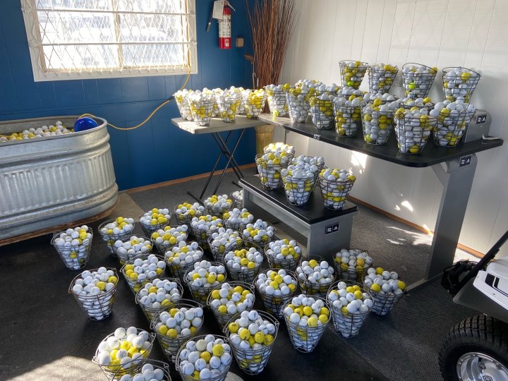 Spring has (almost) sprung in Edmonton! - Edmonton | Globalnews.ca