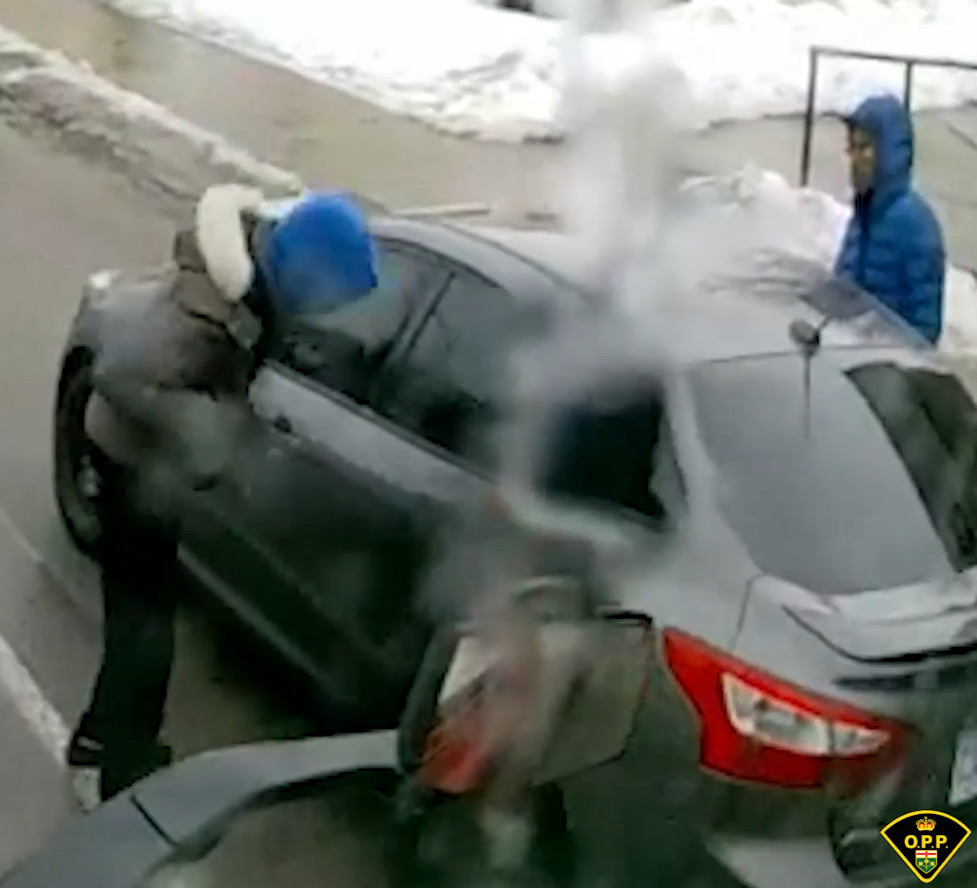 OPP release more details in Alex Tobin homicide investigation in City ...