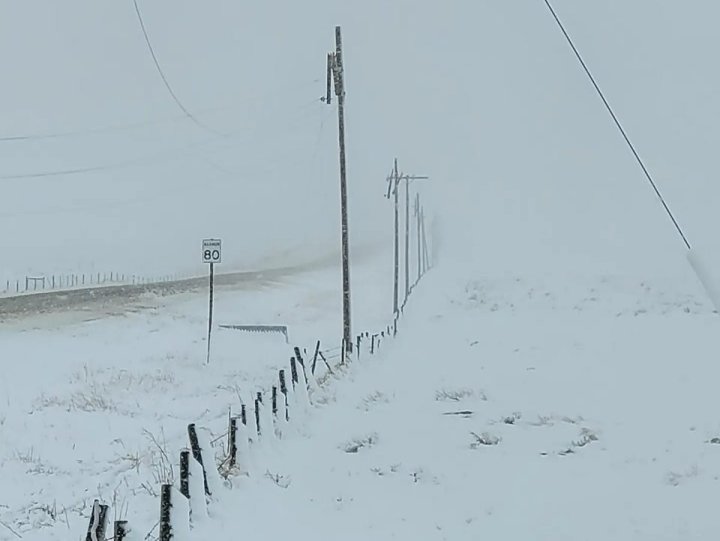 Spring storm in southeast Sask. causes outages from damaged power lines ...