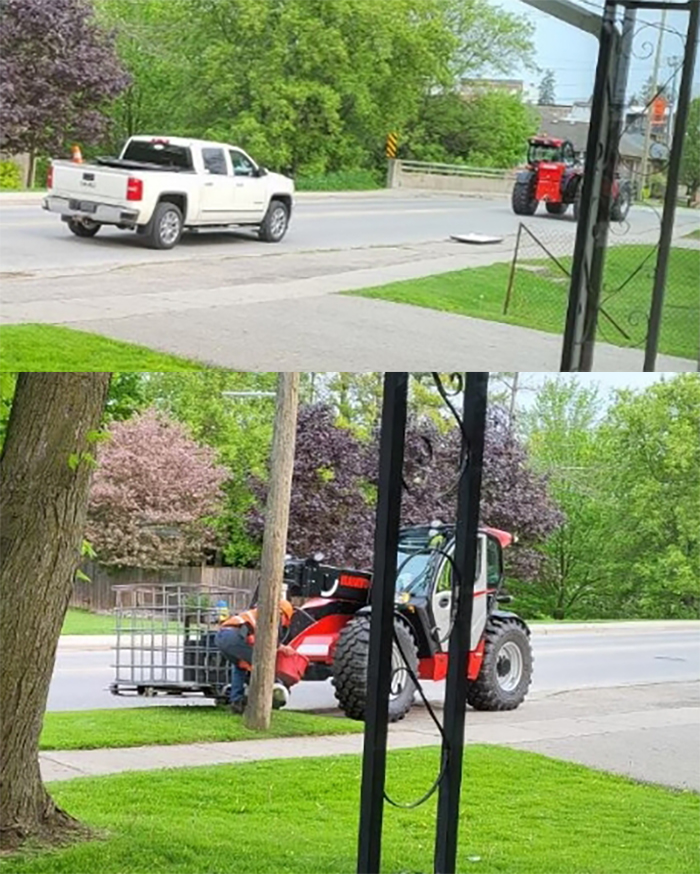 Tillsonburg, Ont. man charged after Pride flags stolen or vandalized ...