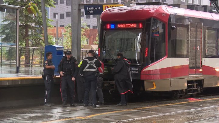 Woman falls onto CTrain tracks after altercation on platform in ...