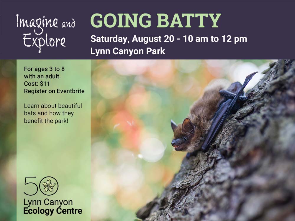 Imagine & Explore: Going Batty - GlobalNews Events