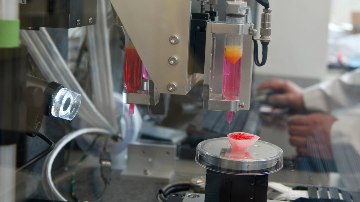 How 3D printers are building a better world - National | Globalnews.ca