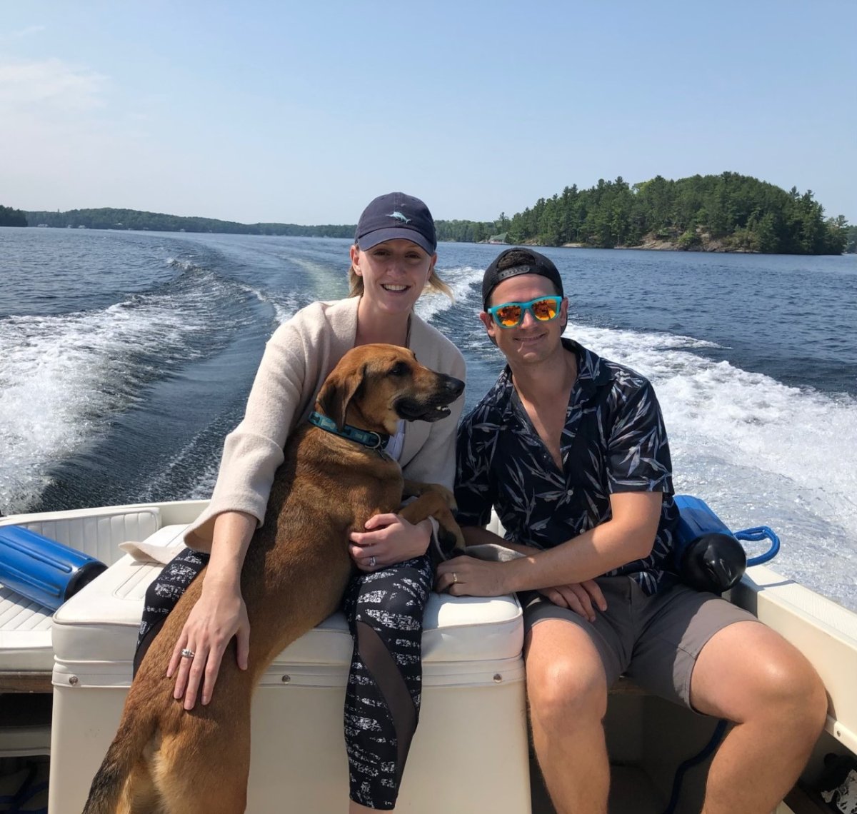 Toronto dog allegedly left in hot car to die, 2nd death for dog walker ...