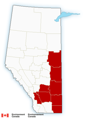 Heat warnings have Albertans finding ways to beat the heat | Globalnews.ca