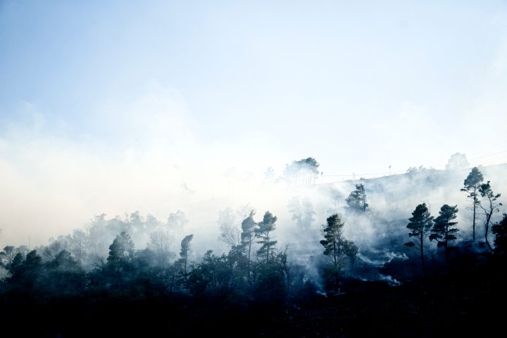 Europe heat wave: Photos show impact of wildfires, extreme heat ...