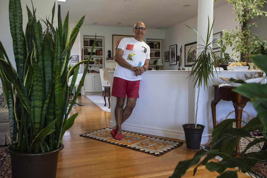 Canadian seniors feeling increased isolation as high inflation takes ...