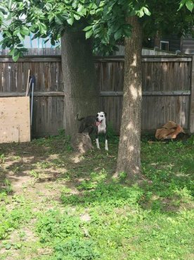 GlobalNews - Staff Personalities | Caryn Lieberman