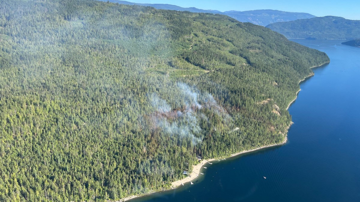 1 cabin destroyed in North Shuswap, B.C. wildfire - Okanagan ...