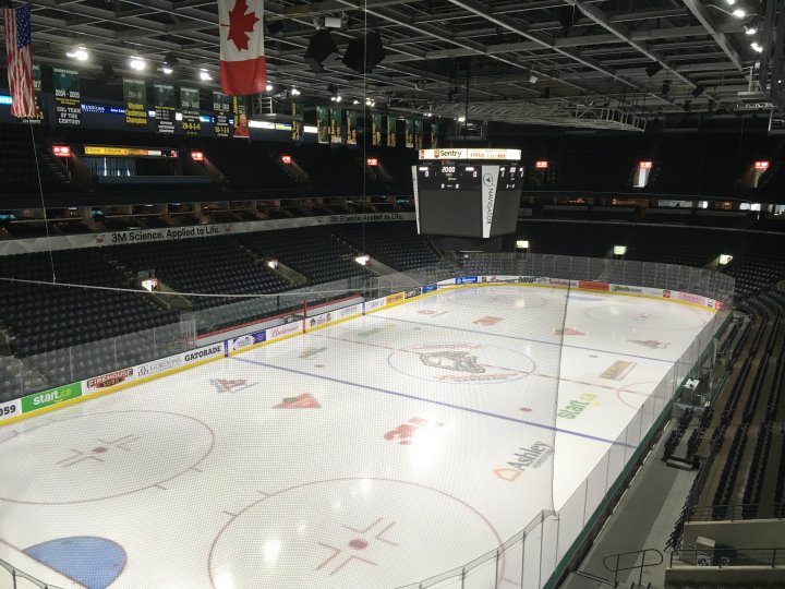 Budweiser Gardens upgrades get green light from city council following ...