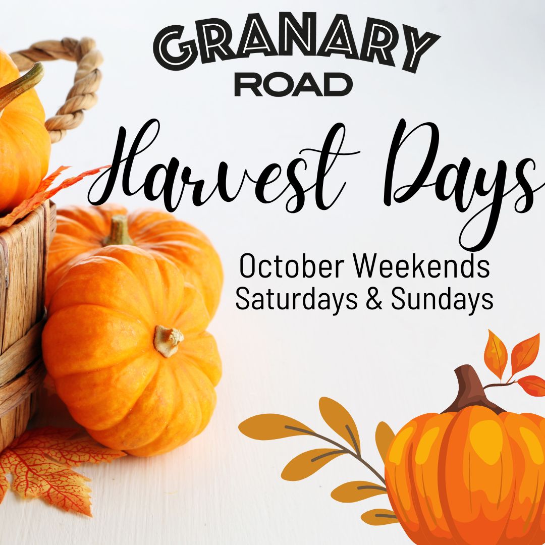 Granary Road’s October Harvest Days - GlobalNews Events