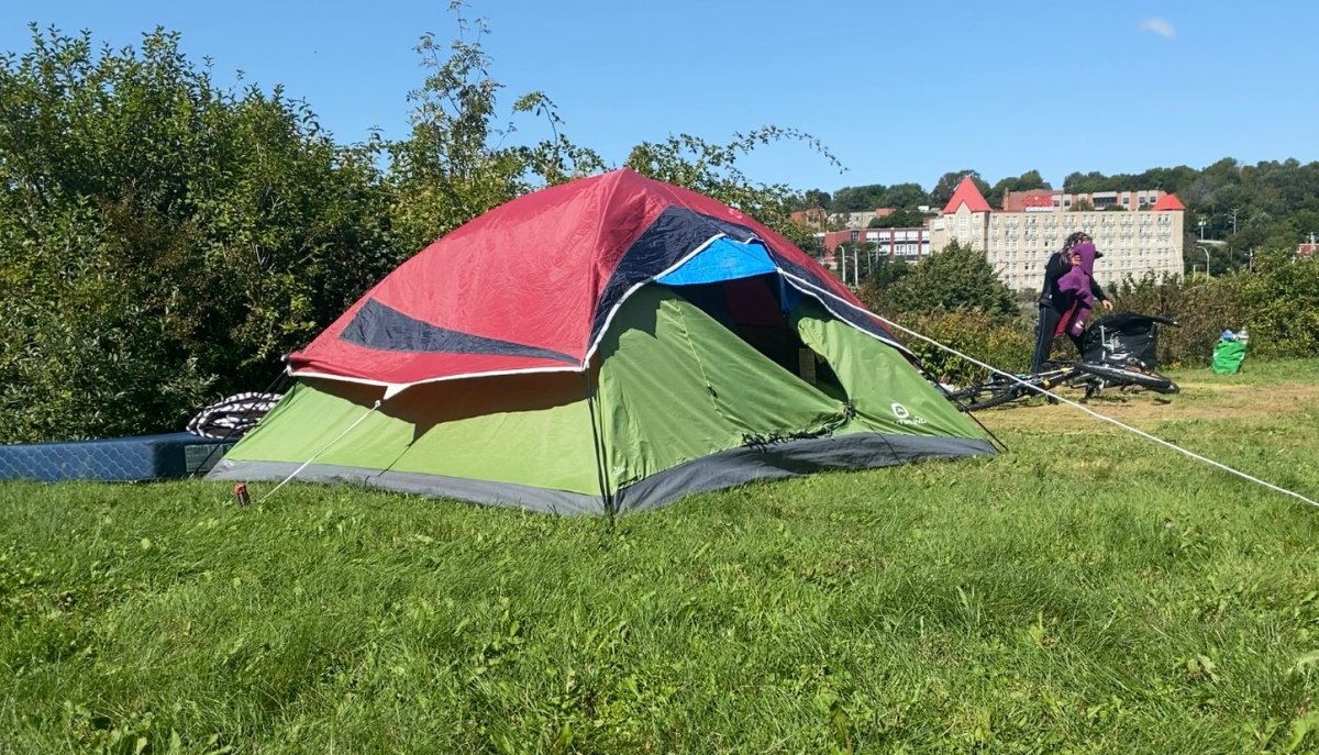 Saint John council calls on province to help homeless citizens - New ...