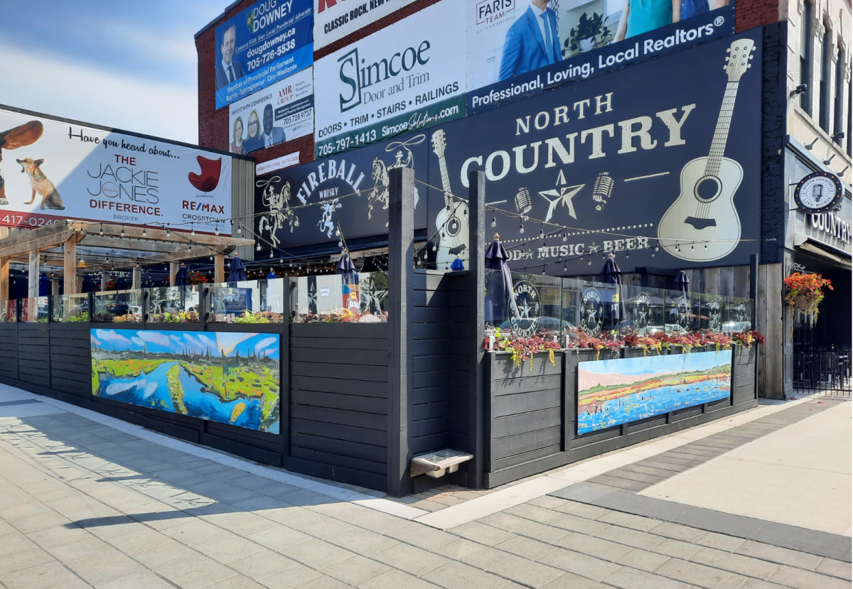 ‘Brightening Barriers’ art exhibit to return to Barrie to spruce up ...