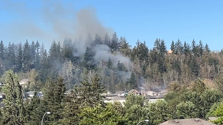 Crews contain brush fire burning near Chilliwack homes - BC | Globalnews.ca