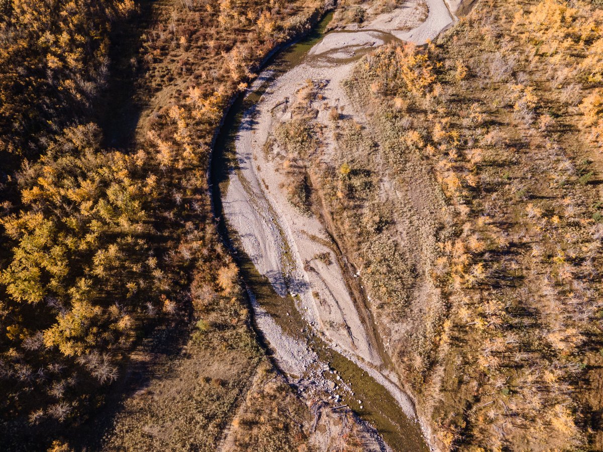 Nature Conservancy announces $6.9M campaign to save landscape in ...