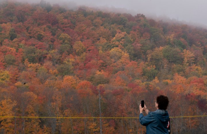 Leaves changing in Canada: Where to see spectacular fall colours coast ...