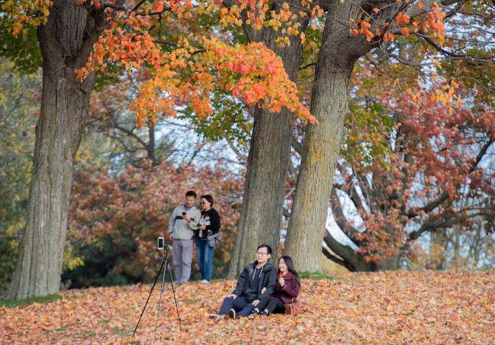 Leaves changing in Canada: Where to see spectacular fall colours coast ...
