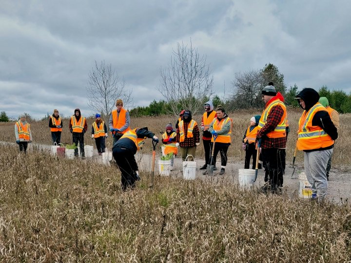 4,500 trees planted at gravel pit site in Selwyn Township this fall ...