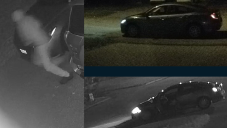 Police seek suspect accused of damaging 16 vehicles in two Niagara ...