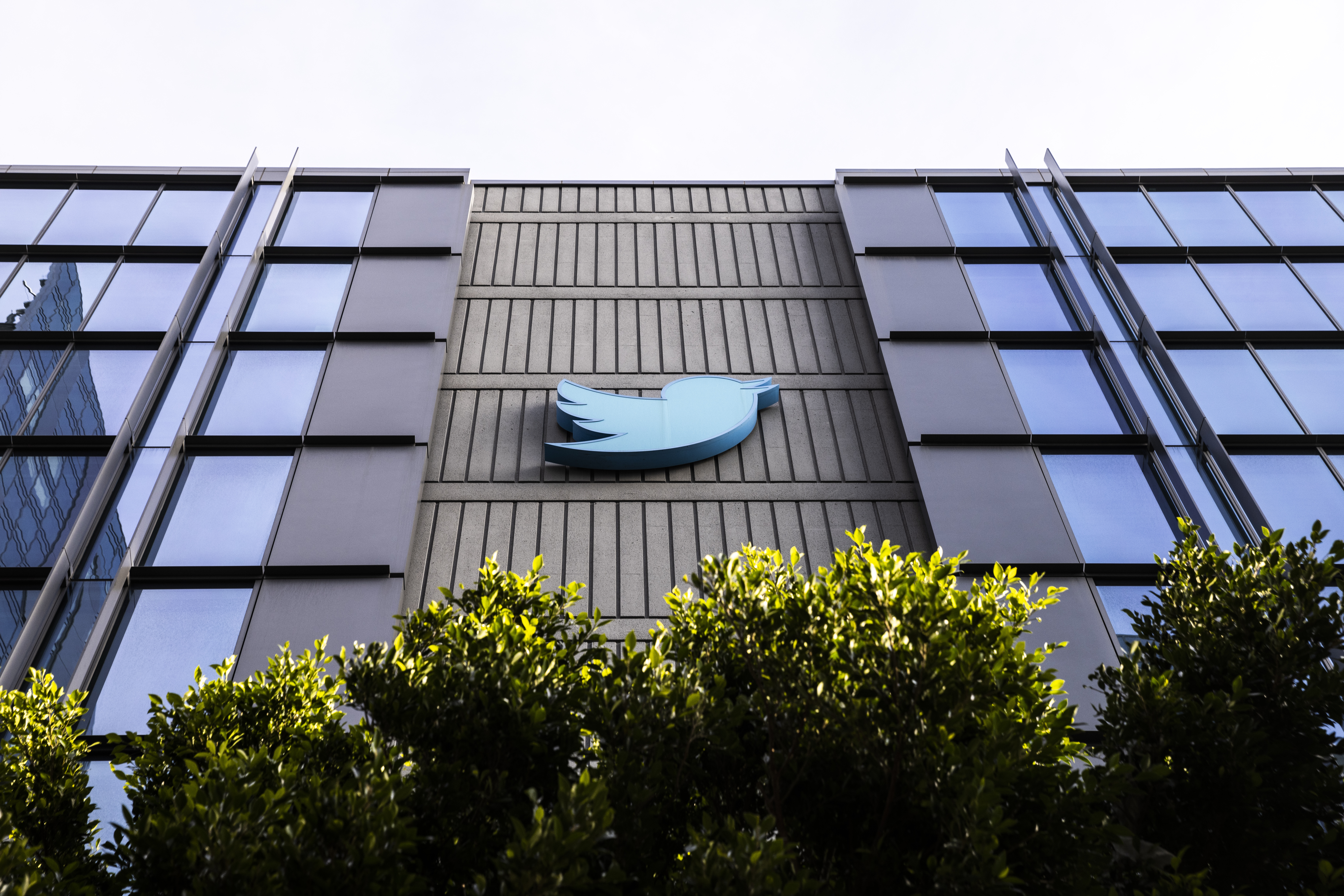 Twitter severance pay delayed over layoff lawsuit, company says - National | Globalnews.ca