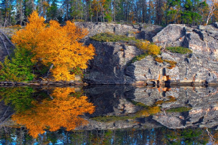 Your Saskatchewan photo of the day: November 2022 | Globalnews.ca