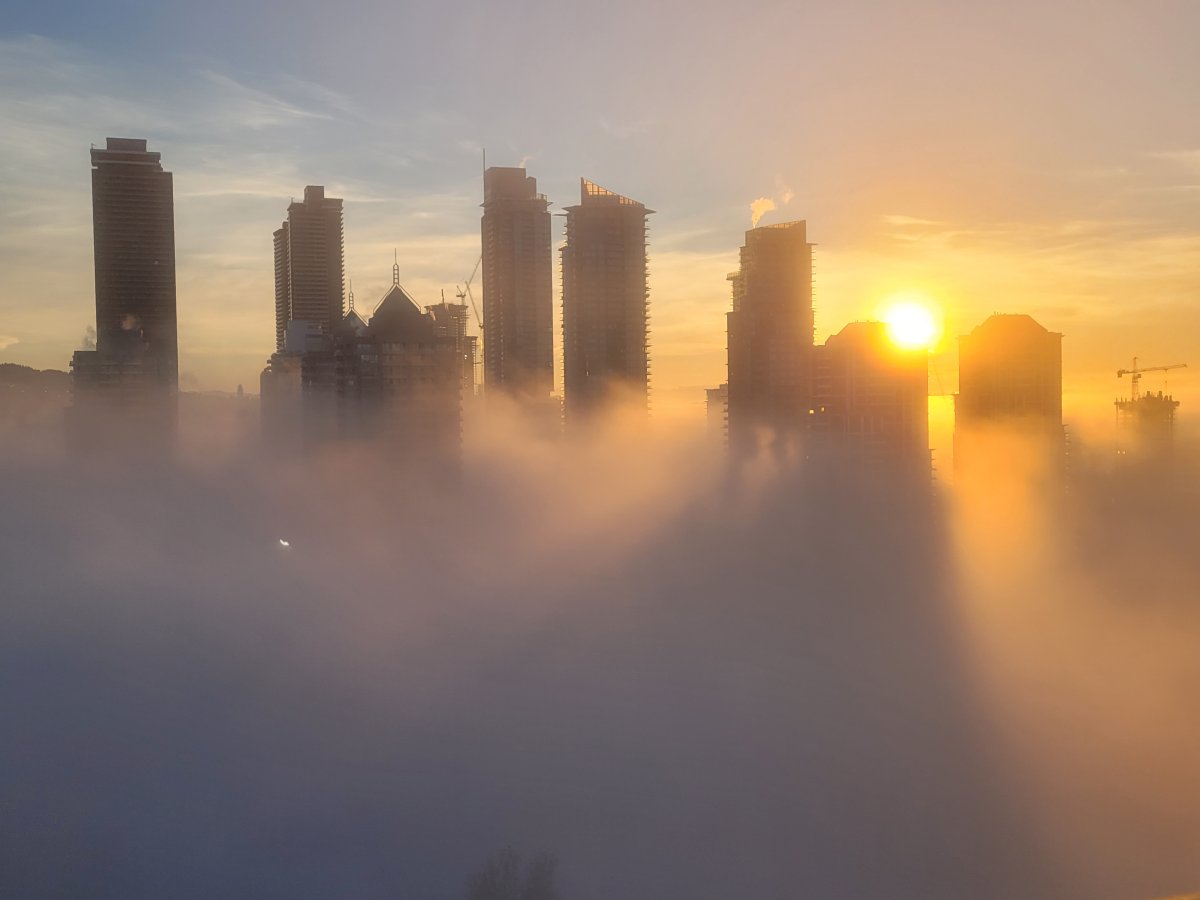 Photos: Morning fog blankets Metro Vancouver | Globalnews.ca