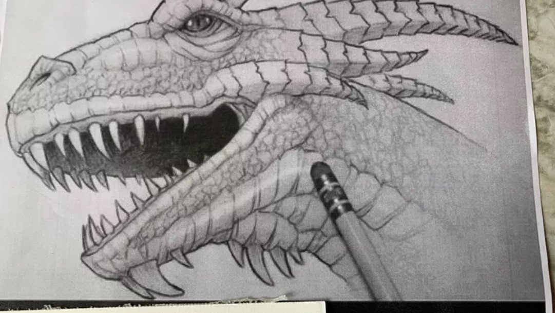 A new dragon descends on a Nova Scotia lake for the summer - Halifax ...