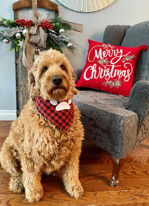 Your Saskatchewan photo of the day: December 2022 | Globalnews.ca
