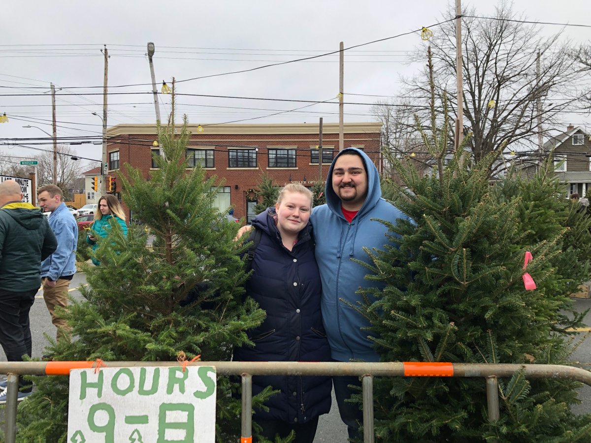 Retirements among N.S. Christmas tree farmers putting pressure on ...