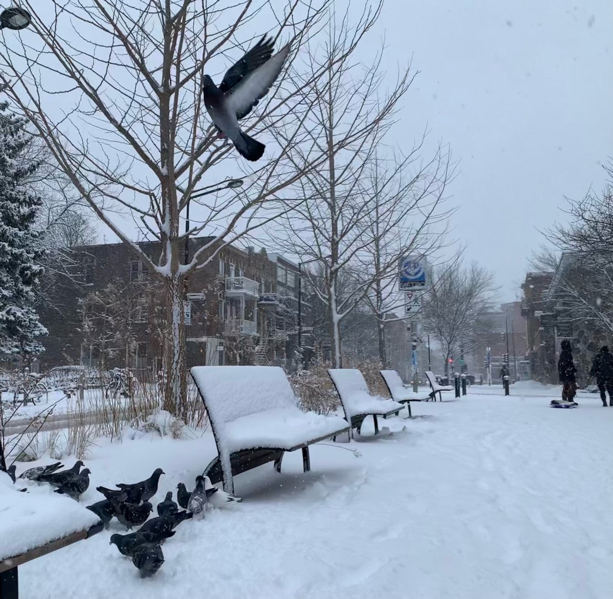 IN PHOTOS: Snowfall blankets parts of Canada as storm moves east ...