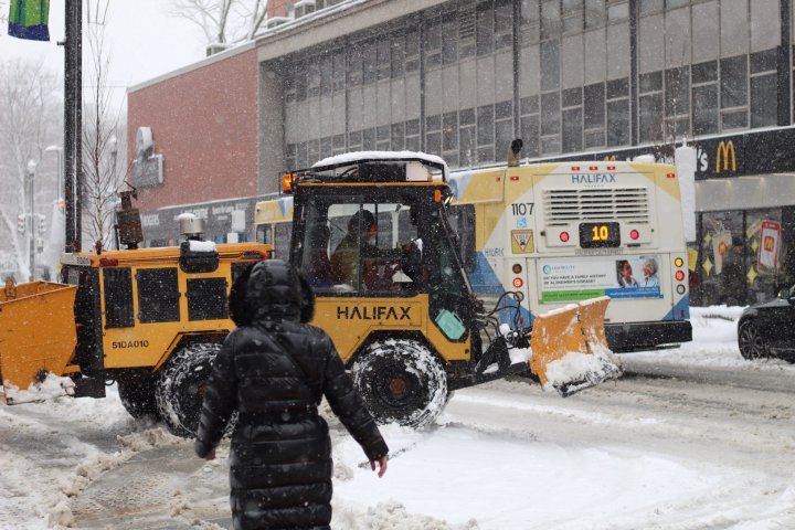 Snow storm closes public schools throughout Halifax, universities still ...
