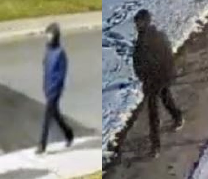Police search for man who allegedly followed, sexually assaulted ...