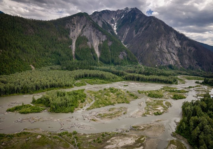 B.C. government announces new conservancy to protect rare ecosystems ...