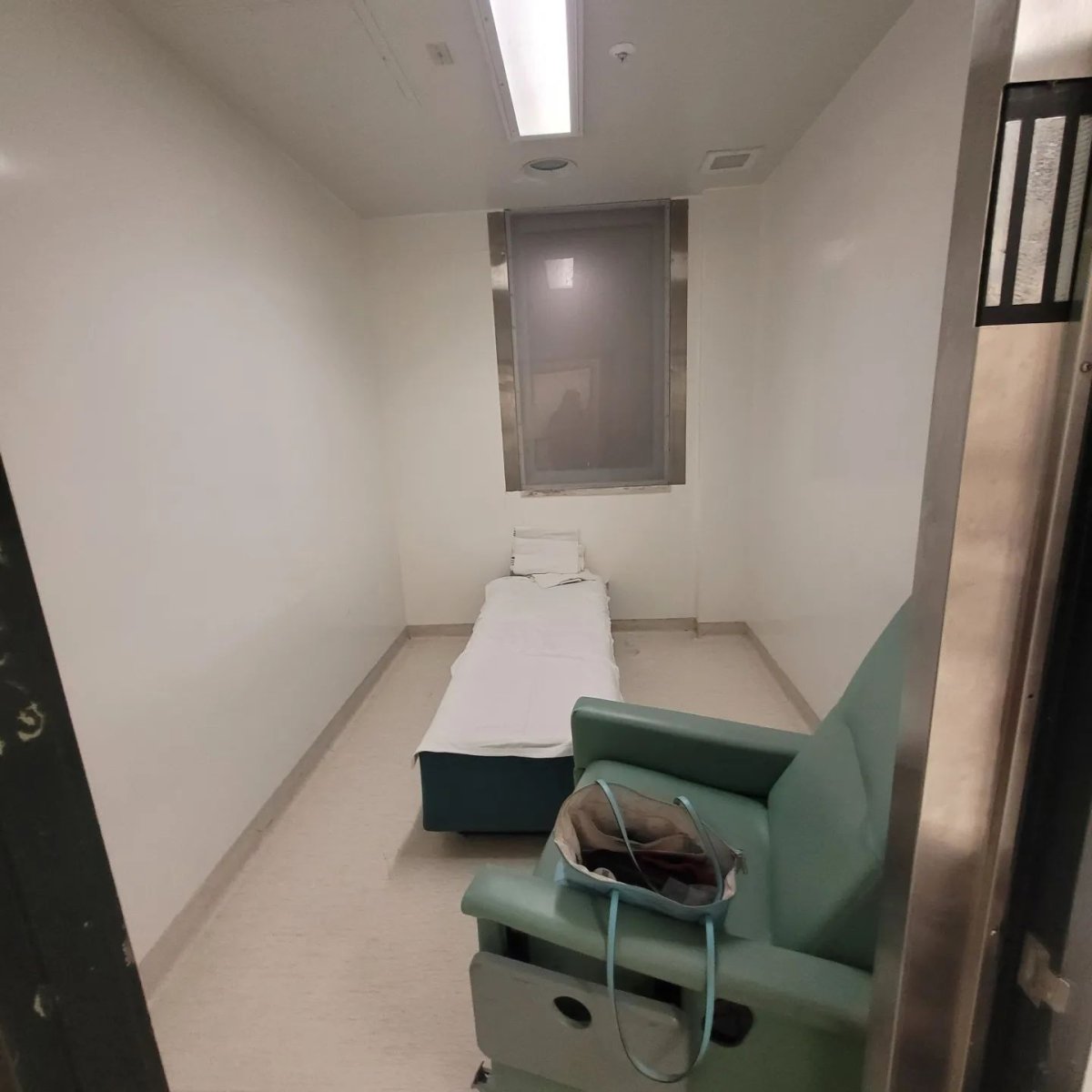 Visitors at Foothills Hospital report mice in cafeteria and dirty ...