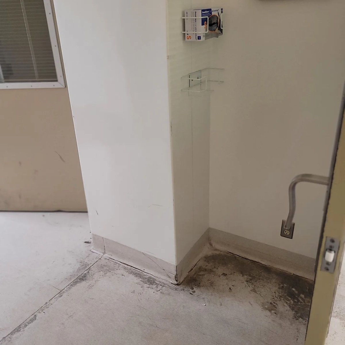 Visitors at Foothills Hospital report mice in cafeteria and dirty ...