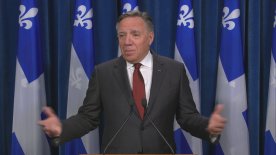 Calgary News | Weather & Traffic - Latest Sports | Breaking News