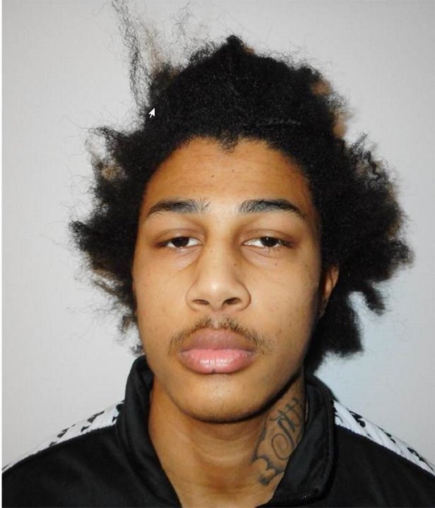 2 suspects arrested, 1 sought related to break-in with car driven ...