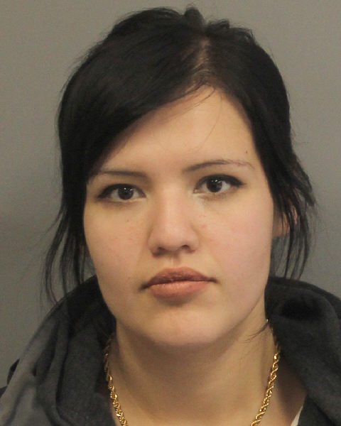 Sask. RCMP hunt for remaining suspect connected in break-in, vehicle ...