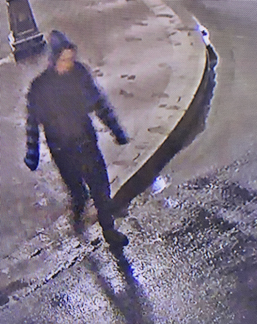 Victoria police seek man caught on camera kicking dog - BC | Globalnews.ca