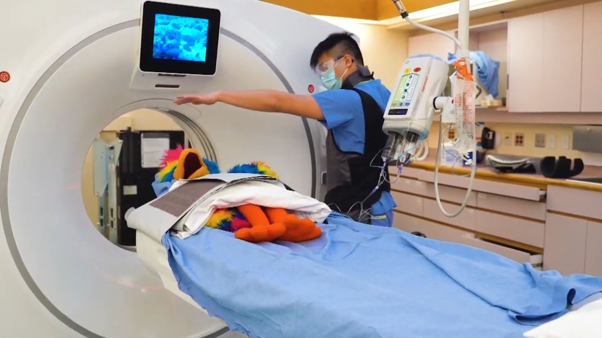 How a big bird named ‘Magrau’ is helping make hospital visits less ...