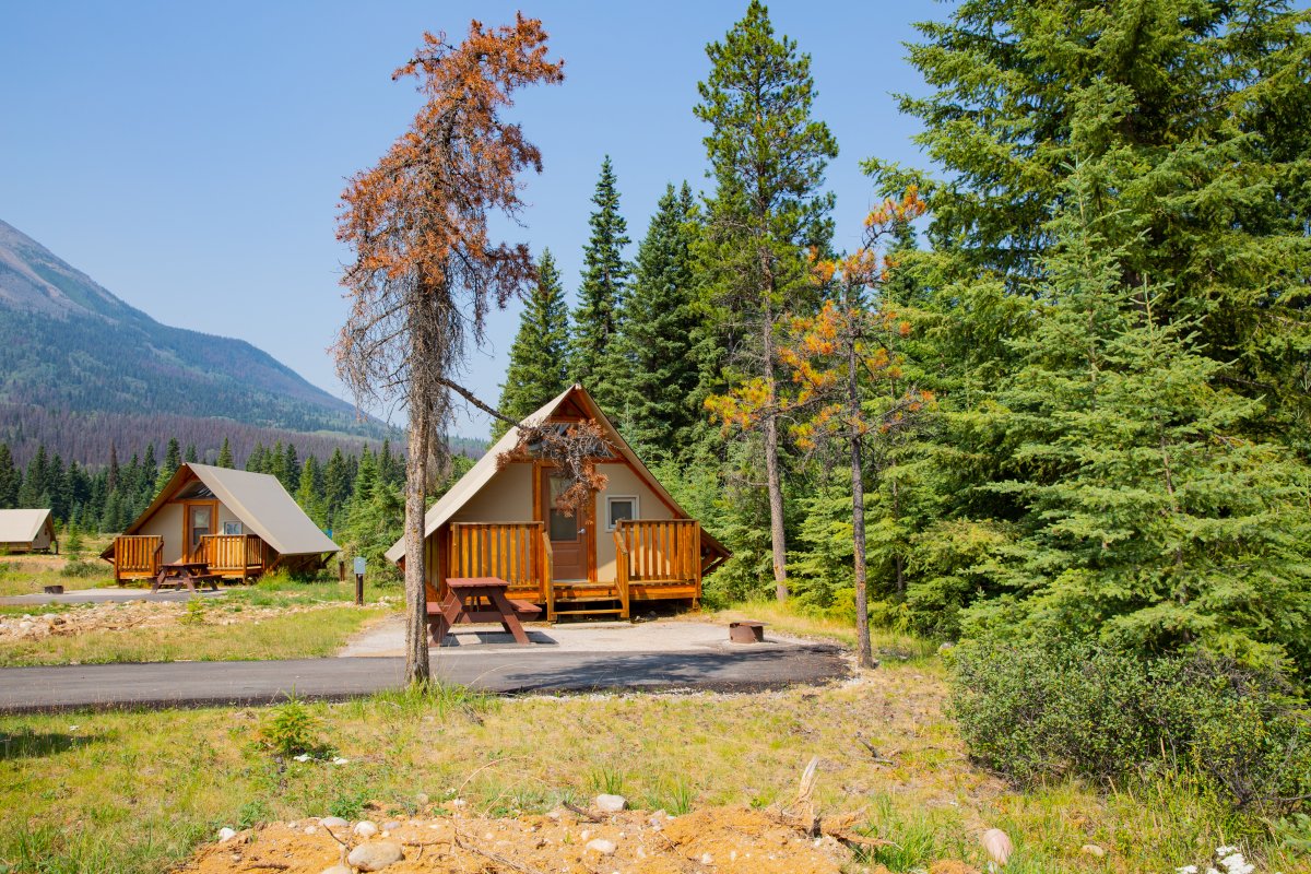 Interested in booking a campsite in Alberta’s mountains? Parks Canada ...