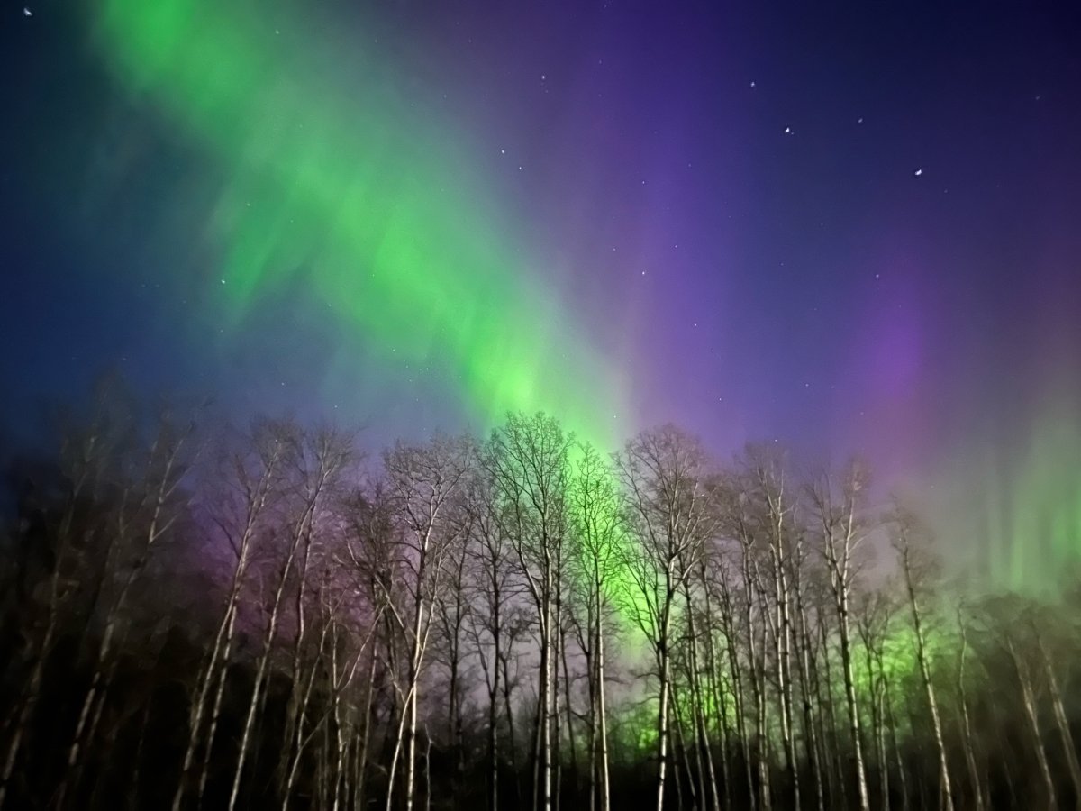 Did you see it? Vivid aurora borealis lights up the sky across much of ...