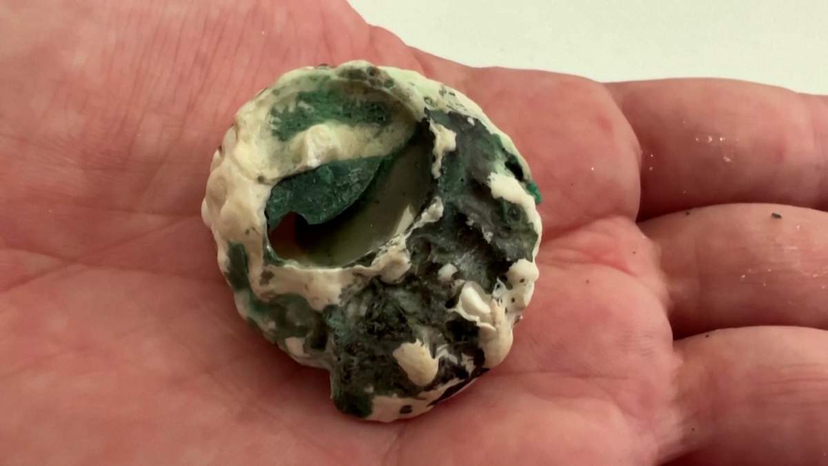 Plastic rocks turn up on a remote Brazilian island, ‘terrifying ...