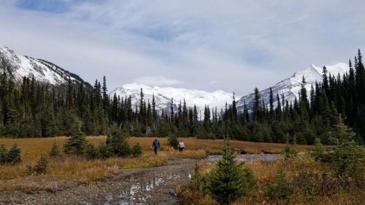 Ecologically diverse watershed declared Indigenous protected area by B ...